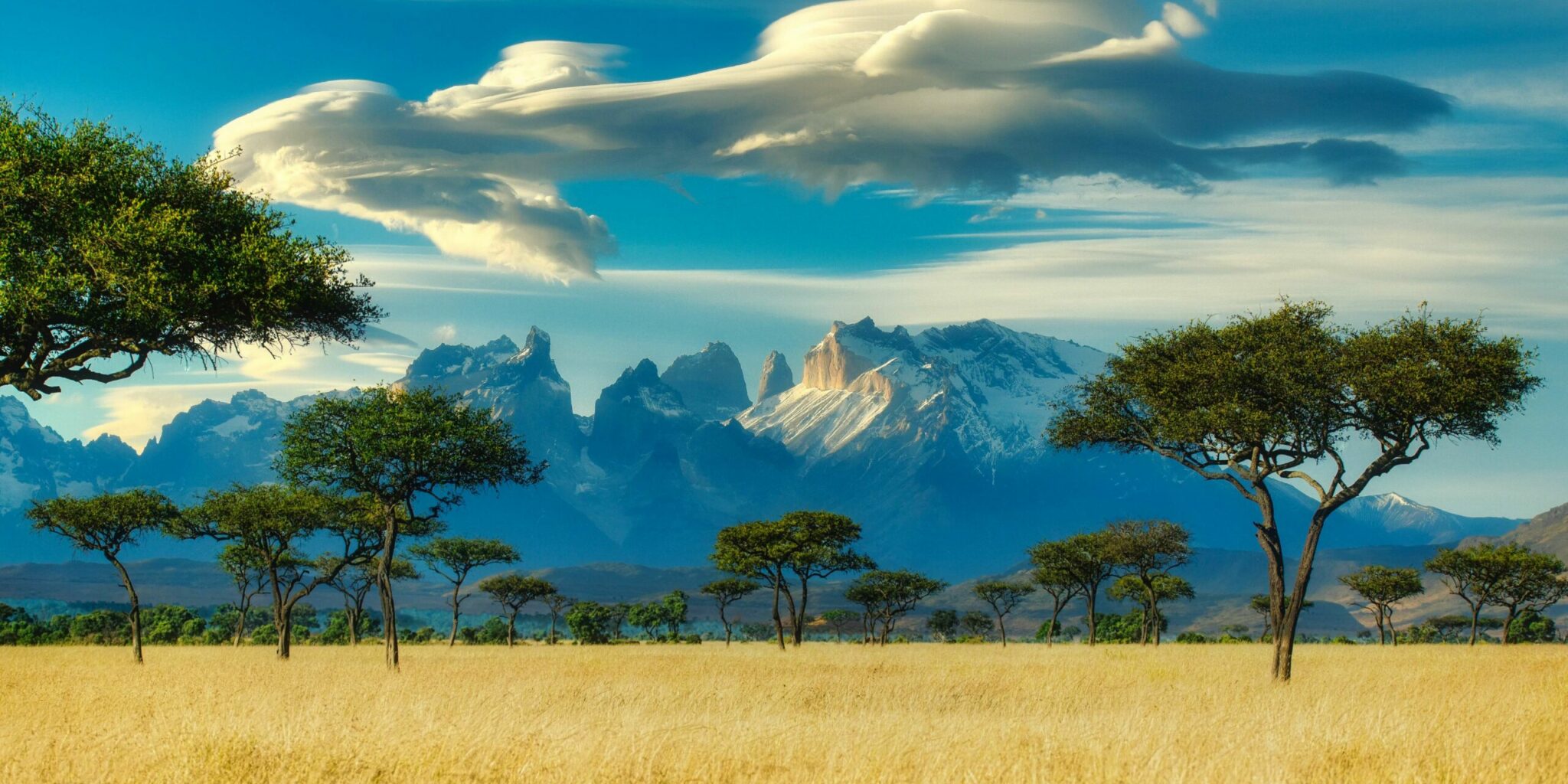 Home - Action with Africa